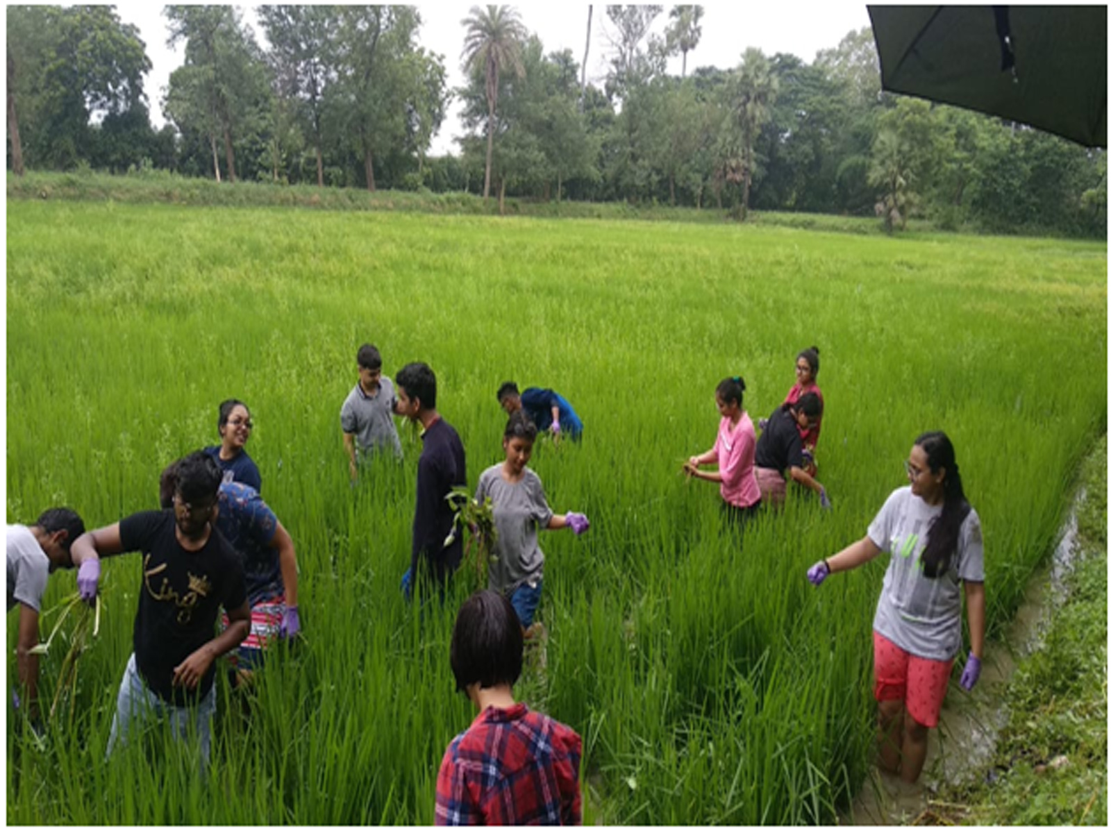 KiiT International School IBDP CAS Experience beyond the Classroom ...