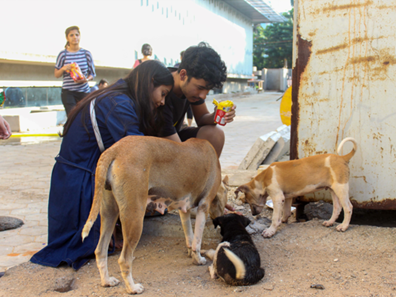 KIIT Animal & Environmental Welfare Society organized a Food Donation ...